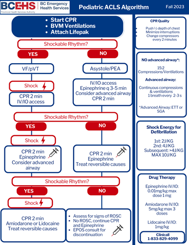 M06: Pediatrics - Cardiac Arrest