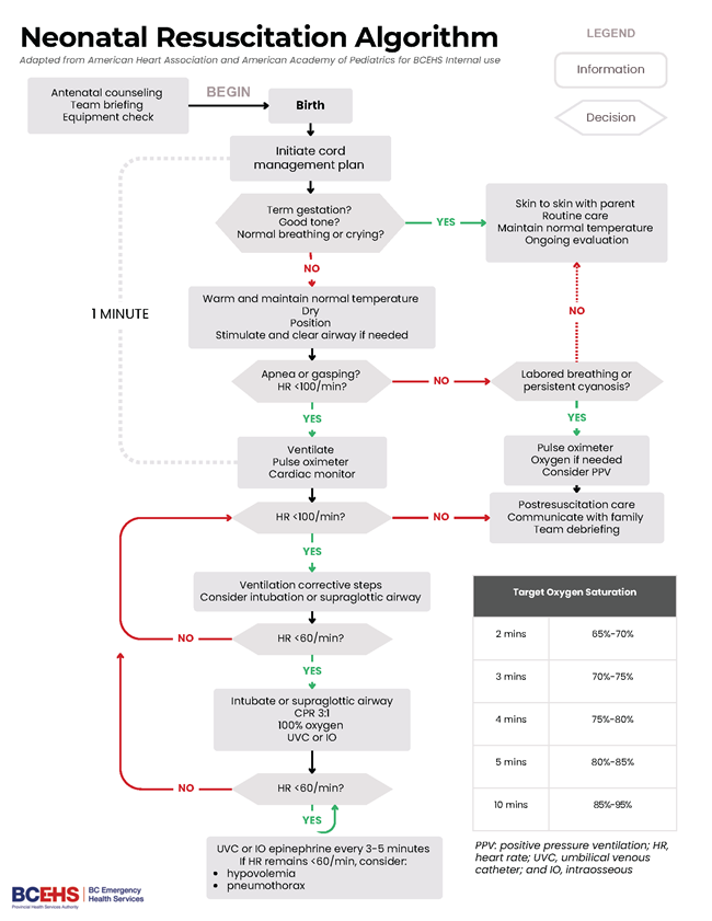 M09: Neonatal Resuscitation